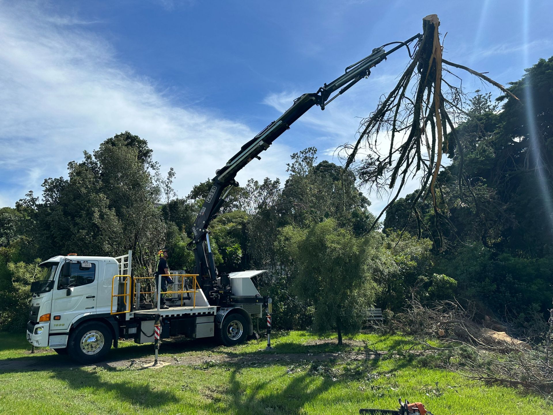 Tree Felling, Cutting & Trimming | Stump Grinding & Removal | Arborist ...